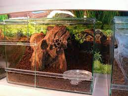 Террариум для улиток, хамелеона, черепахи: как выбрать